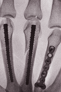 Stanford Center for Continuing Medical Education Continuing Education