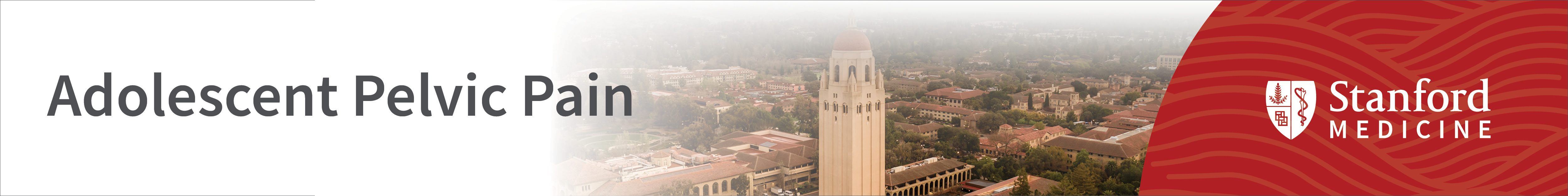 Adolescent Pelvic Pain: Multidisciplinary Approaches to Diagnosis and ...